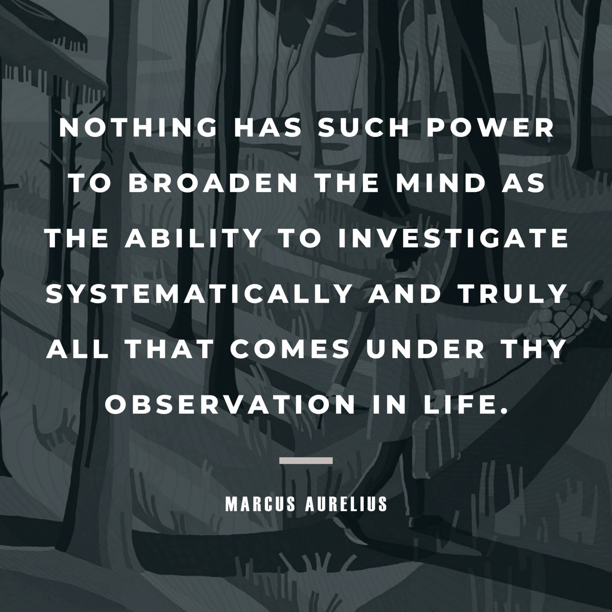 34 Eye-Opening Quotes About Observing and Observation » Flâneur Life