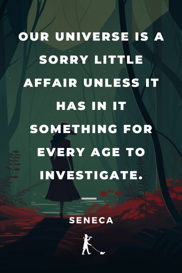 37 Encantadoras frases exploración