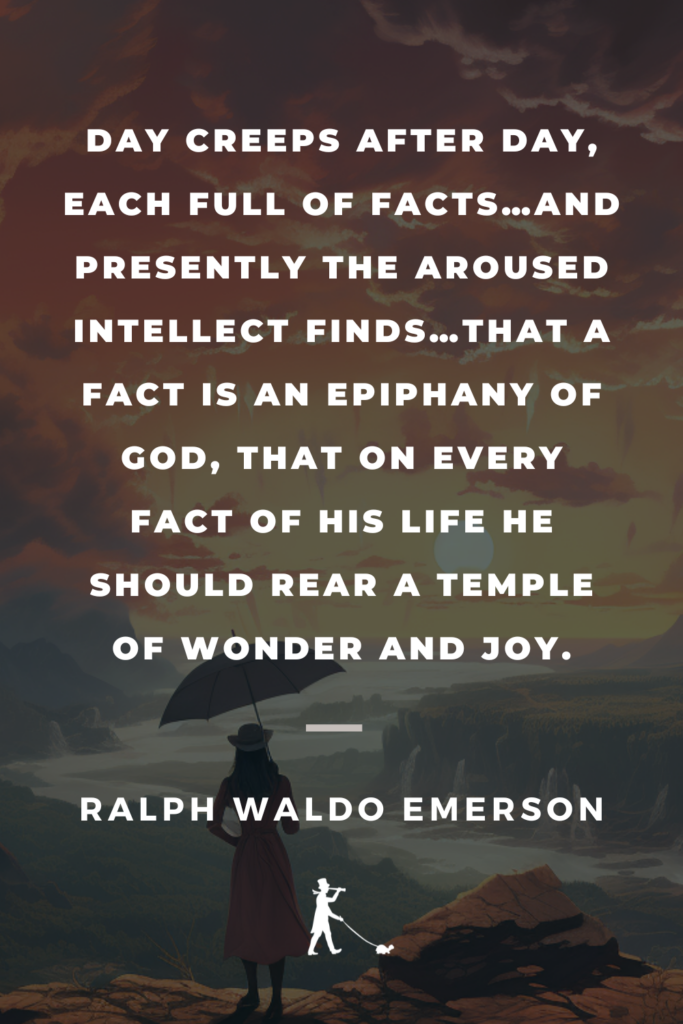 51 Epiphany Quotes for Wanderers, Explorers and Dreamers » Flâneur Life