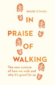 11 Best Books About Walking » Flâneur Life