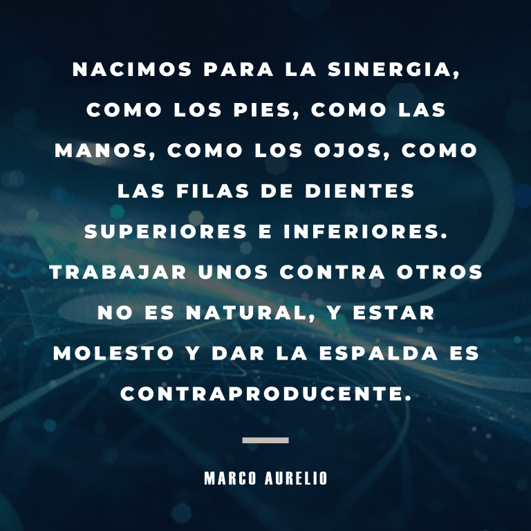 22 Frases de sinergia sobre el trabajo en equipo y la colaboración » Flâneur Life