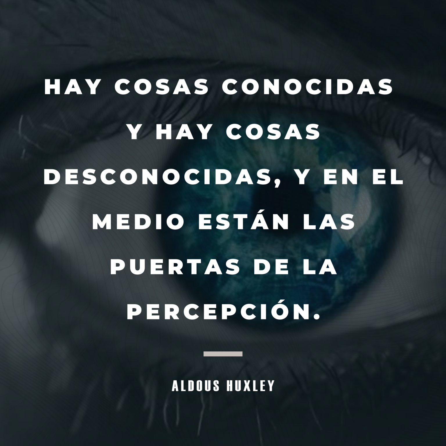 53 Frases sobre percepción: una colección de pensamientos sobre cómo ...