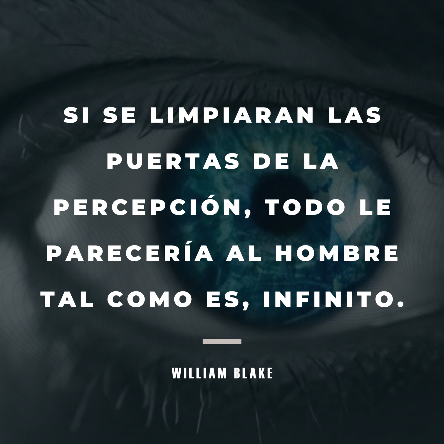 53 Frases sobre percepción: una colección de pensamientos sobre cómo ...