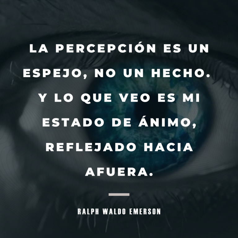 53 Frases sobre percepción: una colección de pensamientos sobre cómo ...
