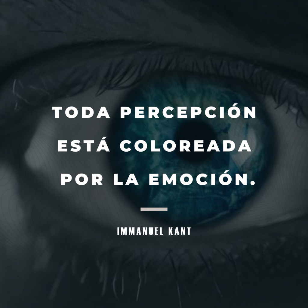 53 Frases sobre percepción: una colección de pensamientos sobre cómo ...