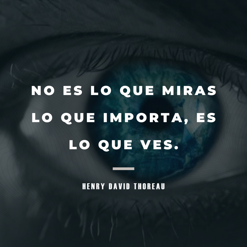 53 Frases sobre percepción: una colección de pensamientos sobre cómo ...