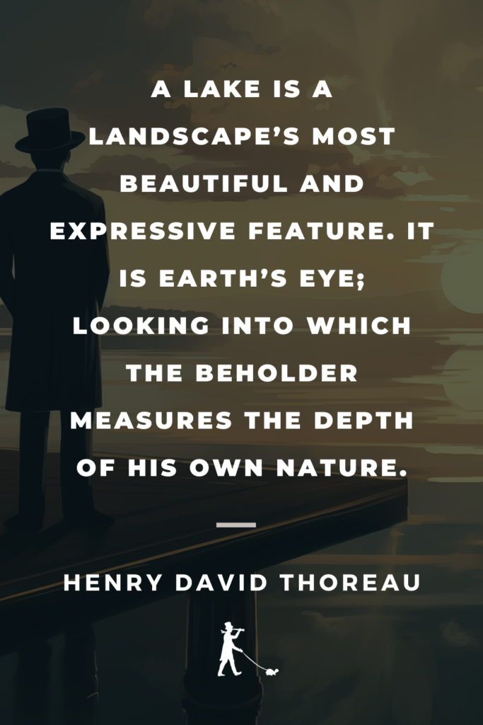 75 Quotes About Reflection That Help Connect the Dots » Flâneur Life