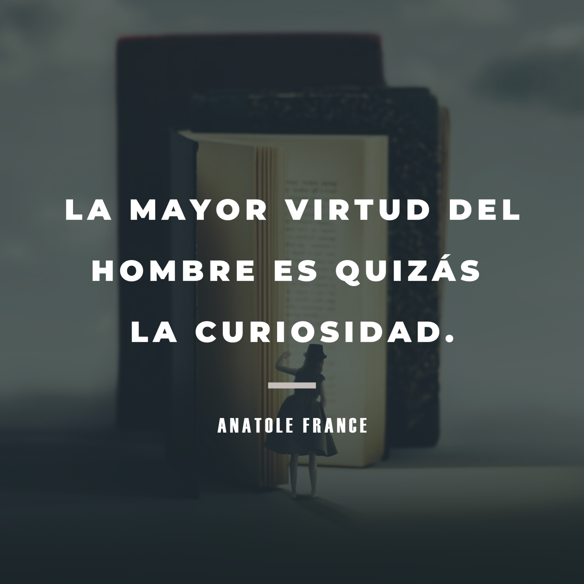96 citas sobre la curiosidad para sacar a relucir tu niño interior ...
