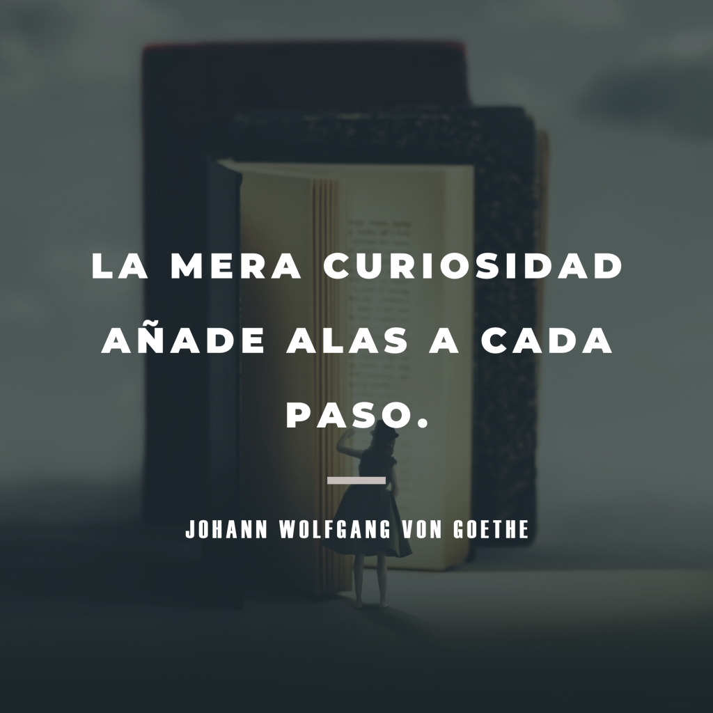 96 citas sobre la curiosidad para sacar a relucir tu niño interior ...