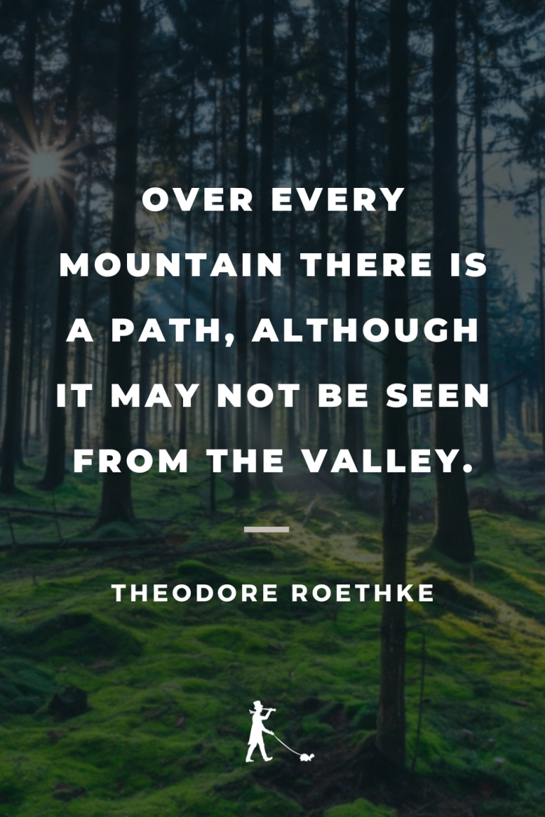 73 Quotes About Following Your Own Path: A Wanderer's Collection