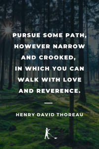 73 Quotes About Following Your Own Path: A Wanderer's Collection