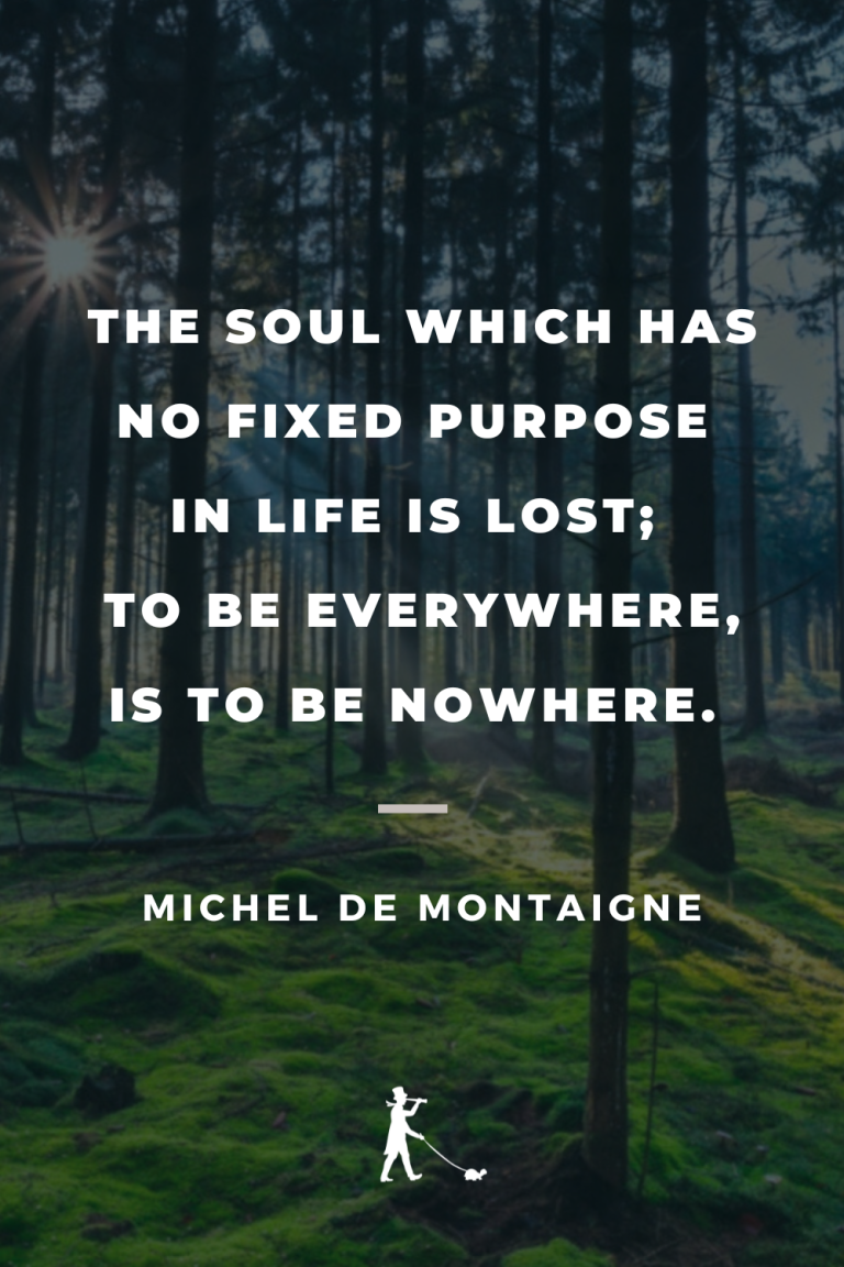 73 Quotes About Following Your Own Path: A Wanderer's Collection