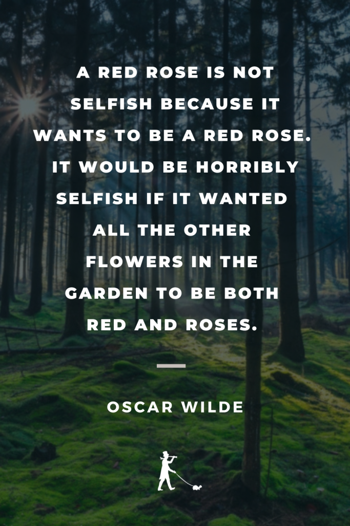 73 Quotes About Following Your Own Path: A Wanderer's Collection