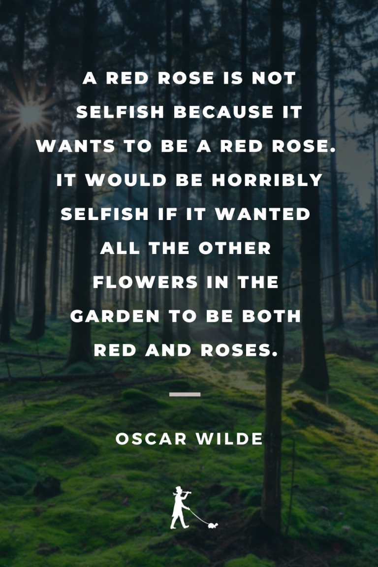 73 Quotes About Following Your Own Path: A Wanderer's Collection