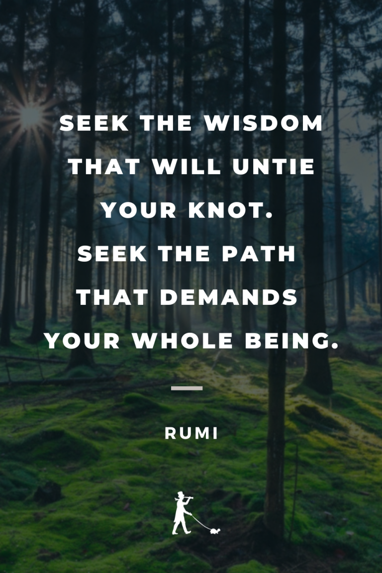 73 Quotes About Following Your Own Path: A Wanderer's Collection