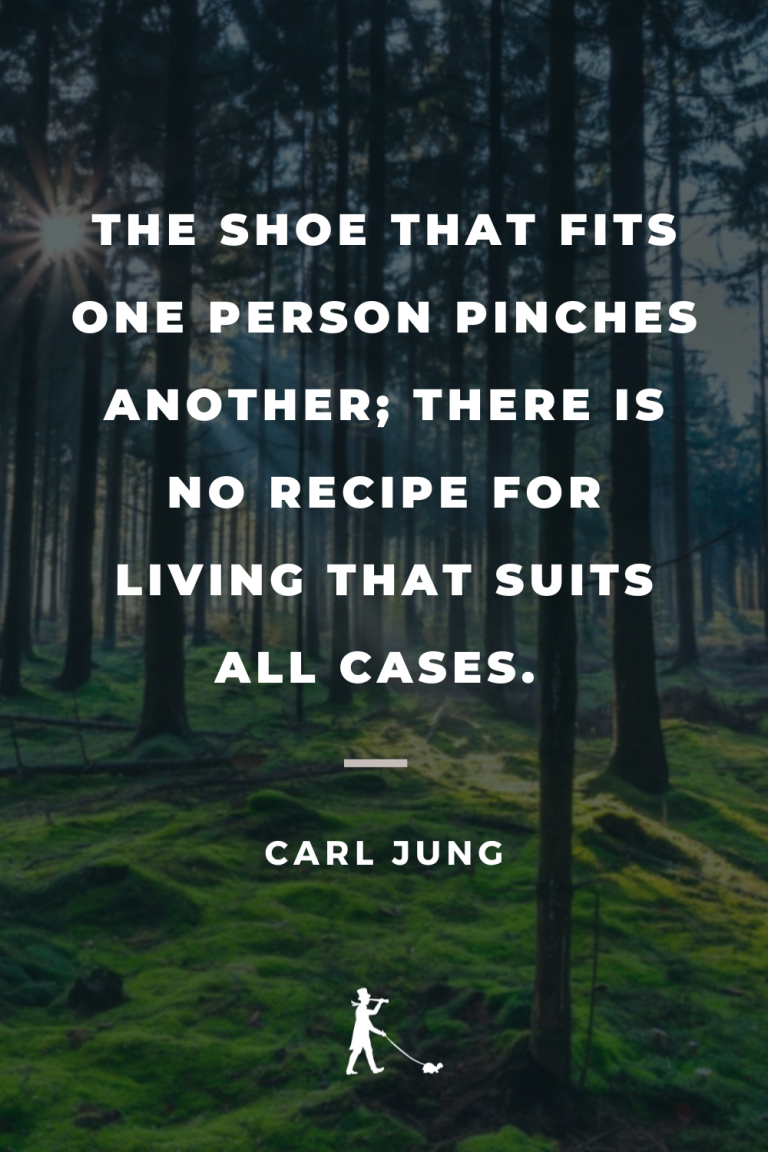 73 Quotes About Following Your Own Path: A Wanderer's Collection