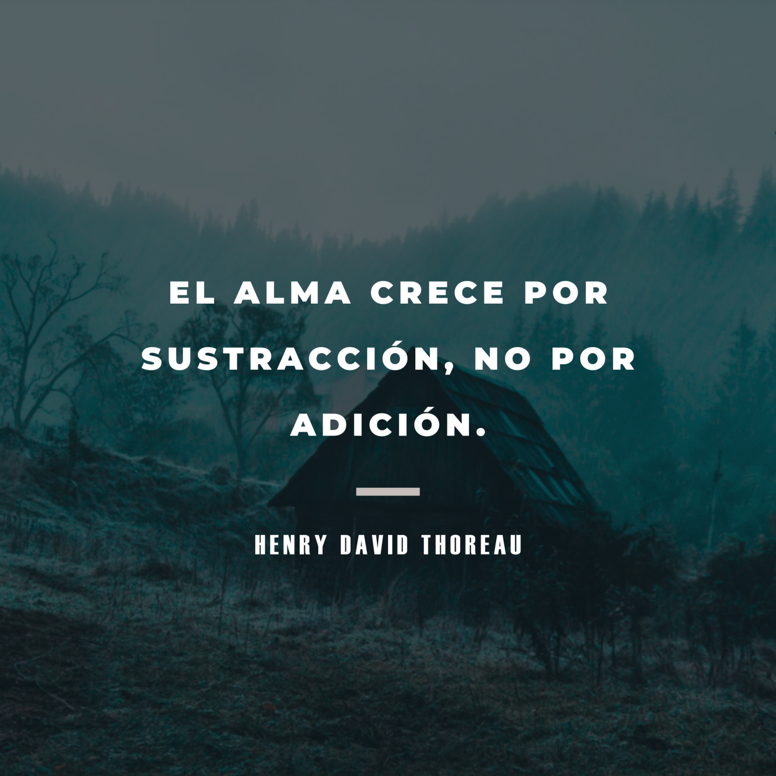 115 Frases Henry David Thoreau que pintan su filosofía de vida