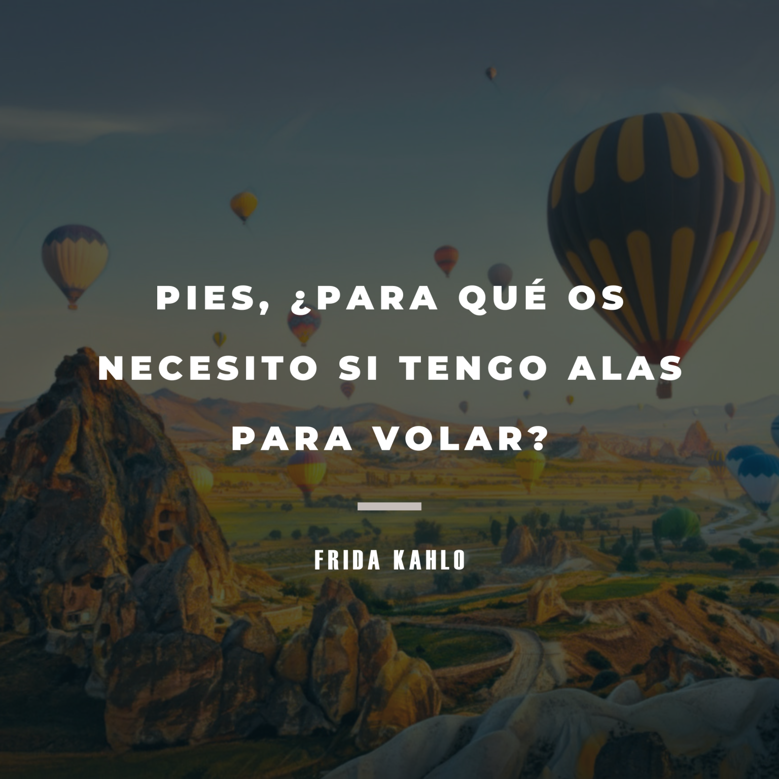 91 citas sobre volar que despertarán al explorador que llevas dentro ...