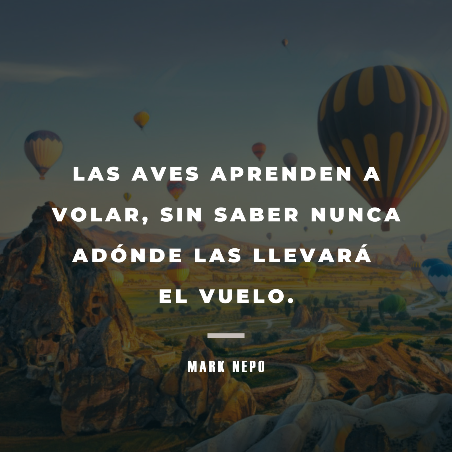 91 citas sobre volar que despertarán al explorador que llevas dentro ...