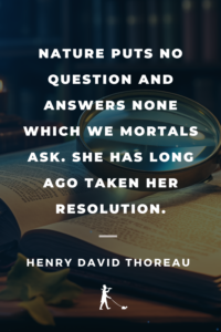 75 Quotes About Questions and Answers to Help You Find Your Way