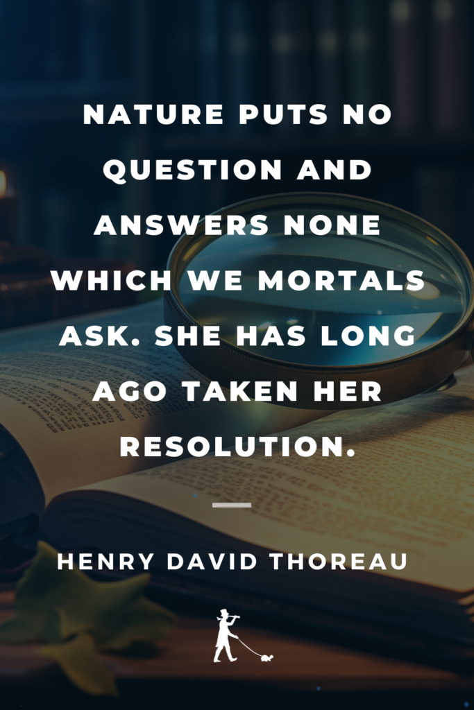 75 Quotes About Questions and Answers to Help You Find Your Way