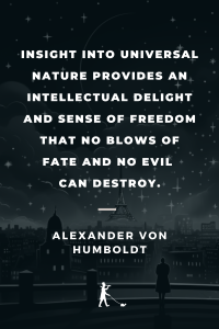 99 Quotes About Insight and Revelation That Unveil Hidden Truths